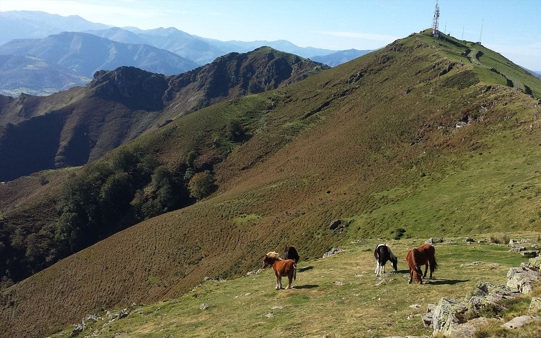 Courir au Pays Basque – Mont Baigura